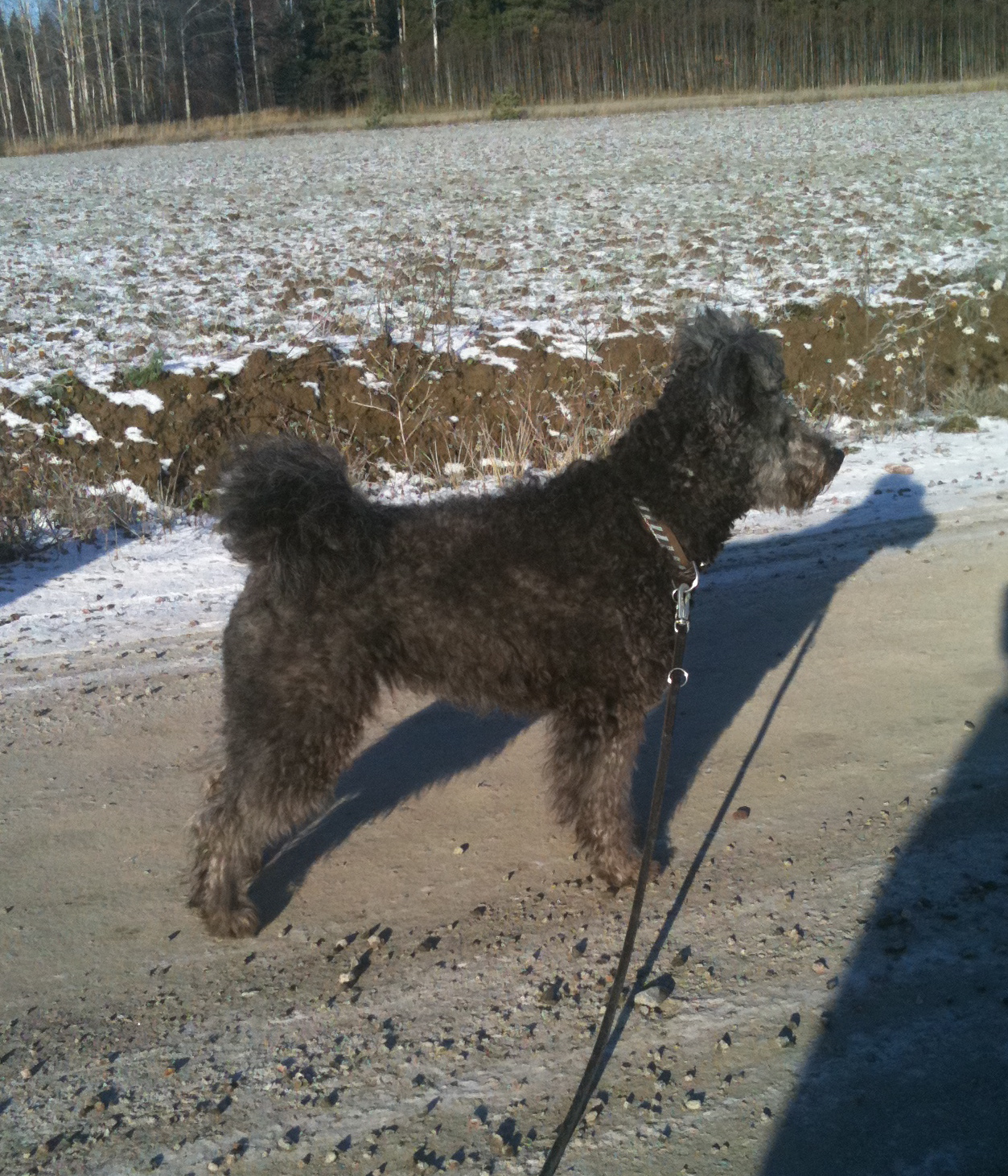 Ny kursstart! - EGO DOG.S Kennel